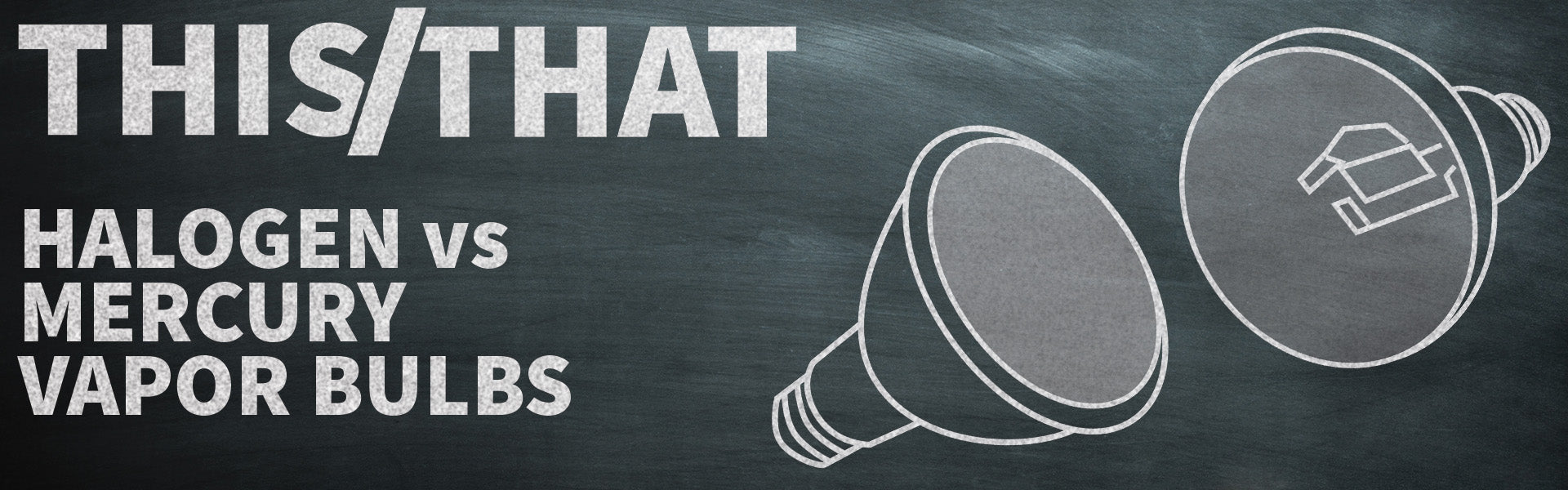 Halogen vs Mercury Vapor Bulbs - This or That? - Pangea Reptile LLC