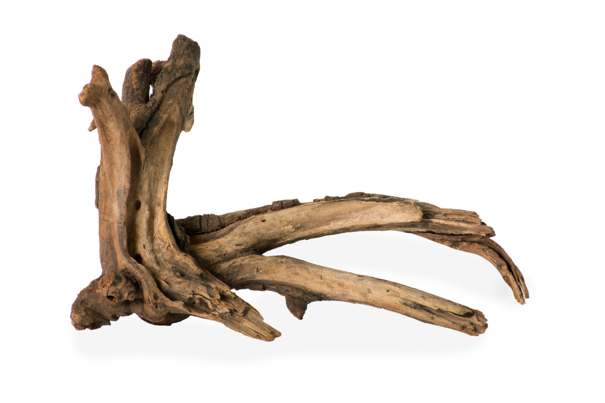 Galapagos Sinkable Driftwood | Wood & Branches | Pangea Reptile ...