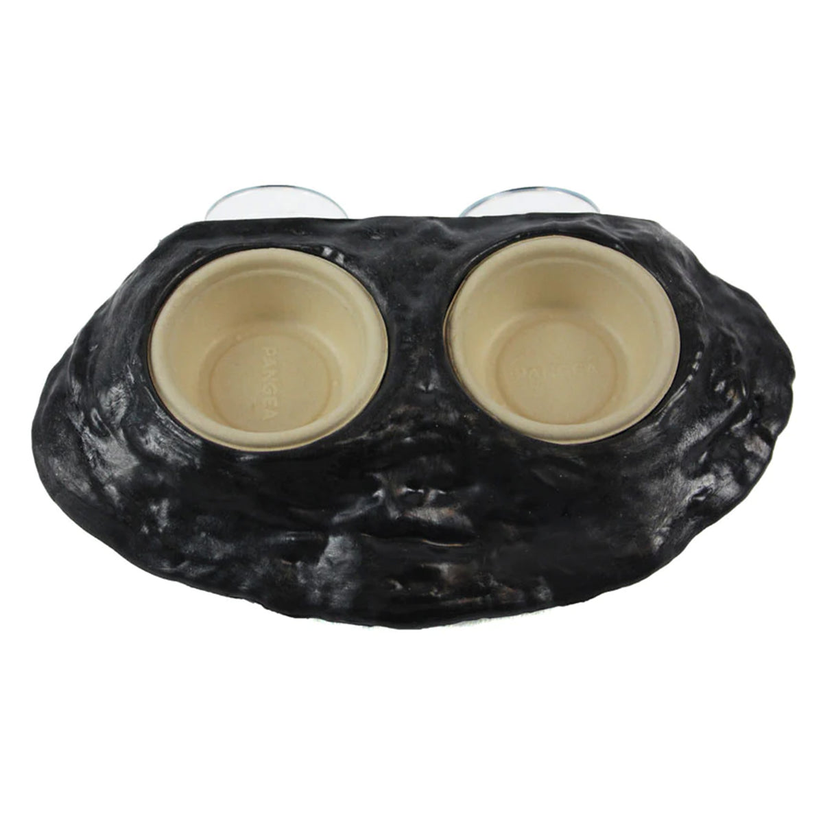 Large Gecko Cups | Biodegradable | Pangea Reptile - Pangea Reptile LLC