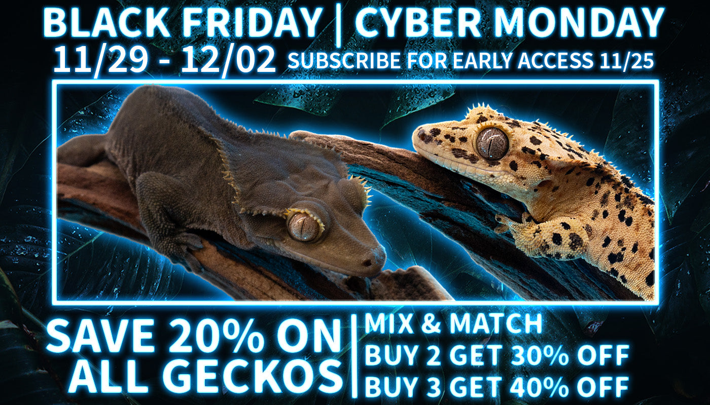 Plastic Terrarium | Plastic Reptile Cages | Pangea Reptile - Pangea ...