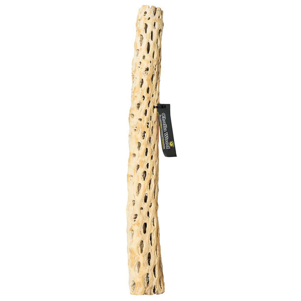 Galápagos Cholla Wood - Pangea Reptile LLC