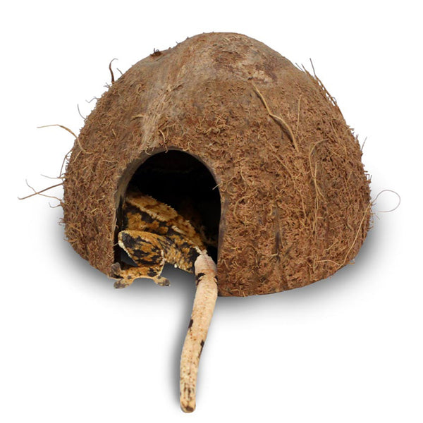 CocoHut | Coconut Hides and Caves | Pangea Reptile - Pangea Reptile LLC