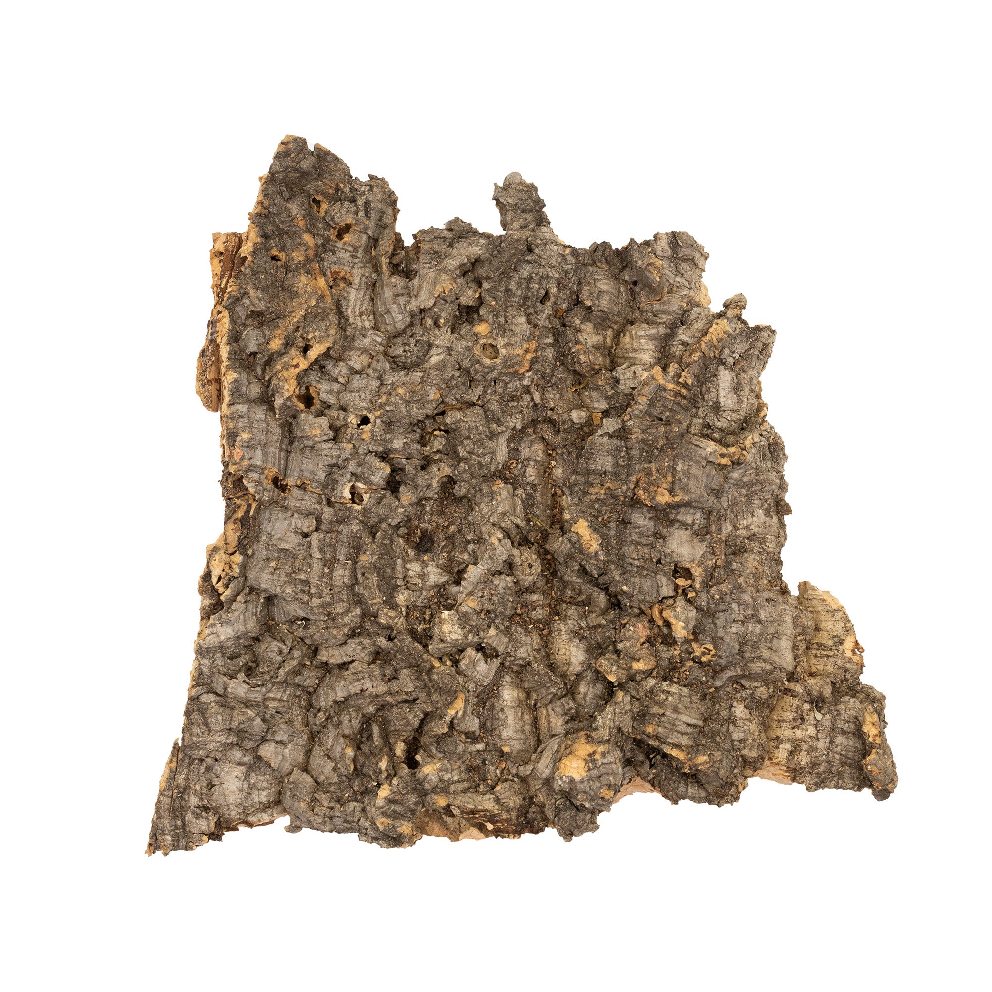 Bulk Cork Bark Flats | Cork Bark | Pangea Reptile - Pangea Reptile LLC