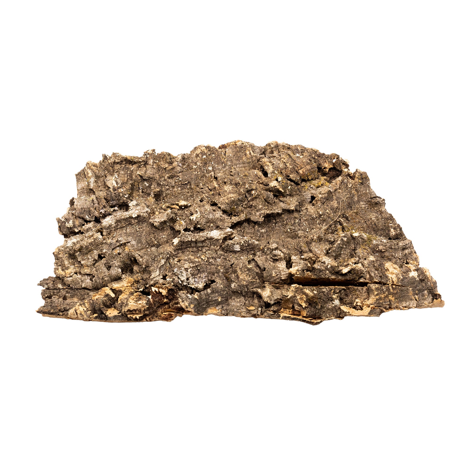 Bulk Cork Bark Flats | Cork Bark | Pangea Reptile - Pangea Reptile LLC