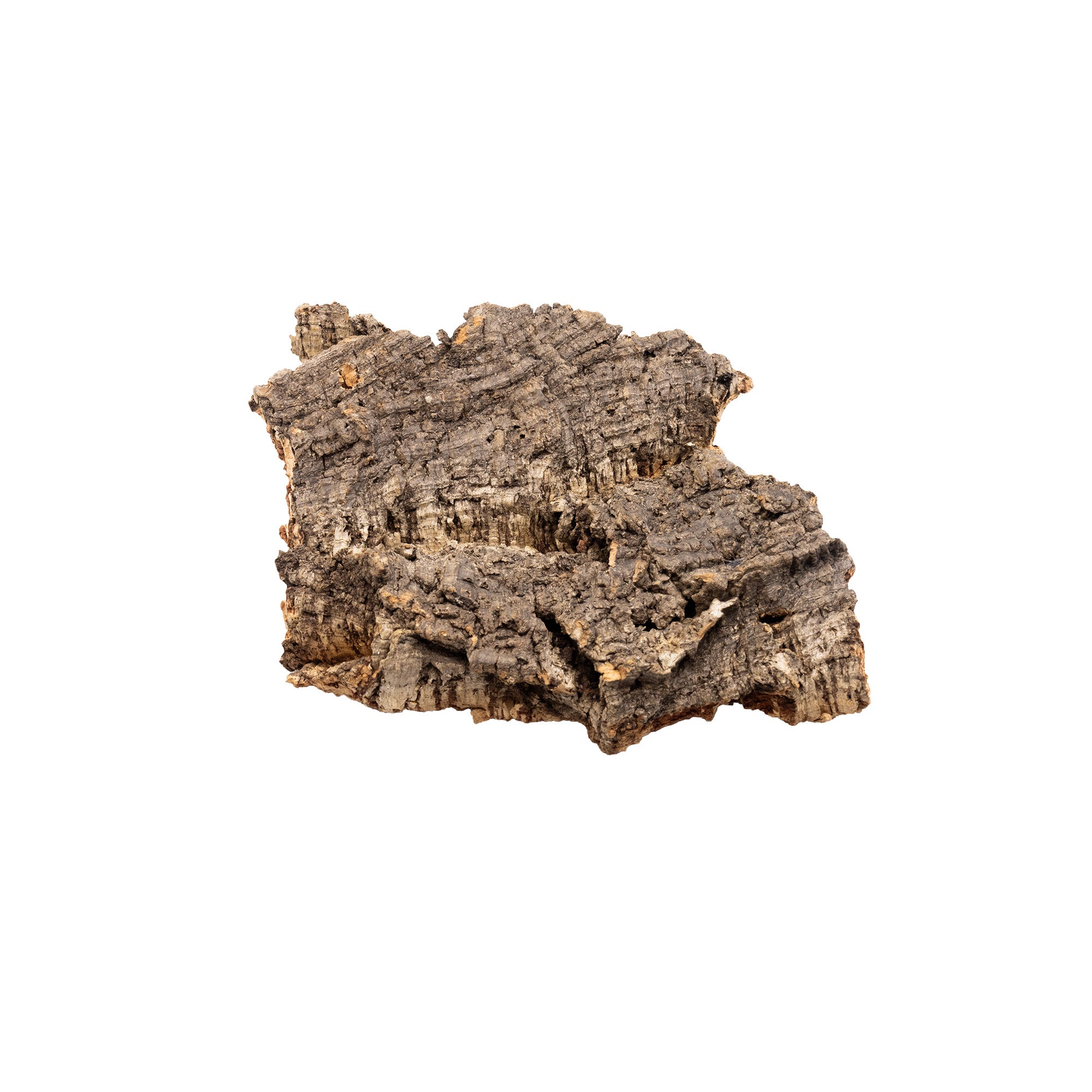 Bulk Cork Bark Flats | Cork Bark | Pangea Reptile - Pangea Reptile LLC