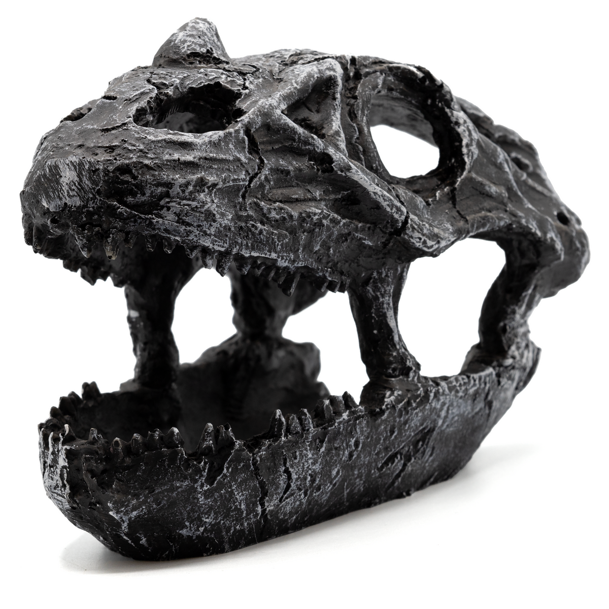 Dinosaur Skull | Reptile Hides & Decor | Pangea Reptile - Pangea ...