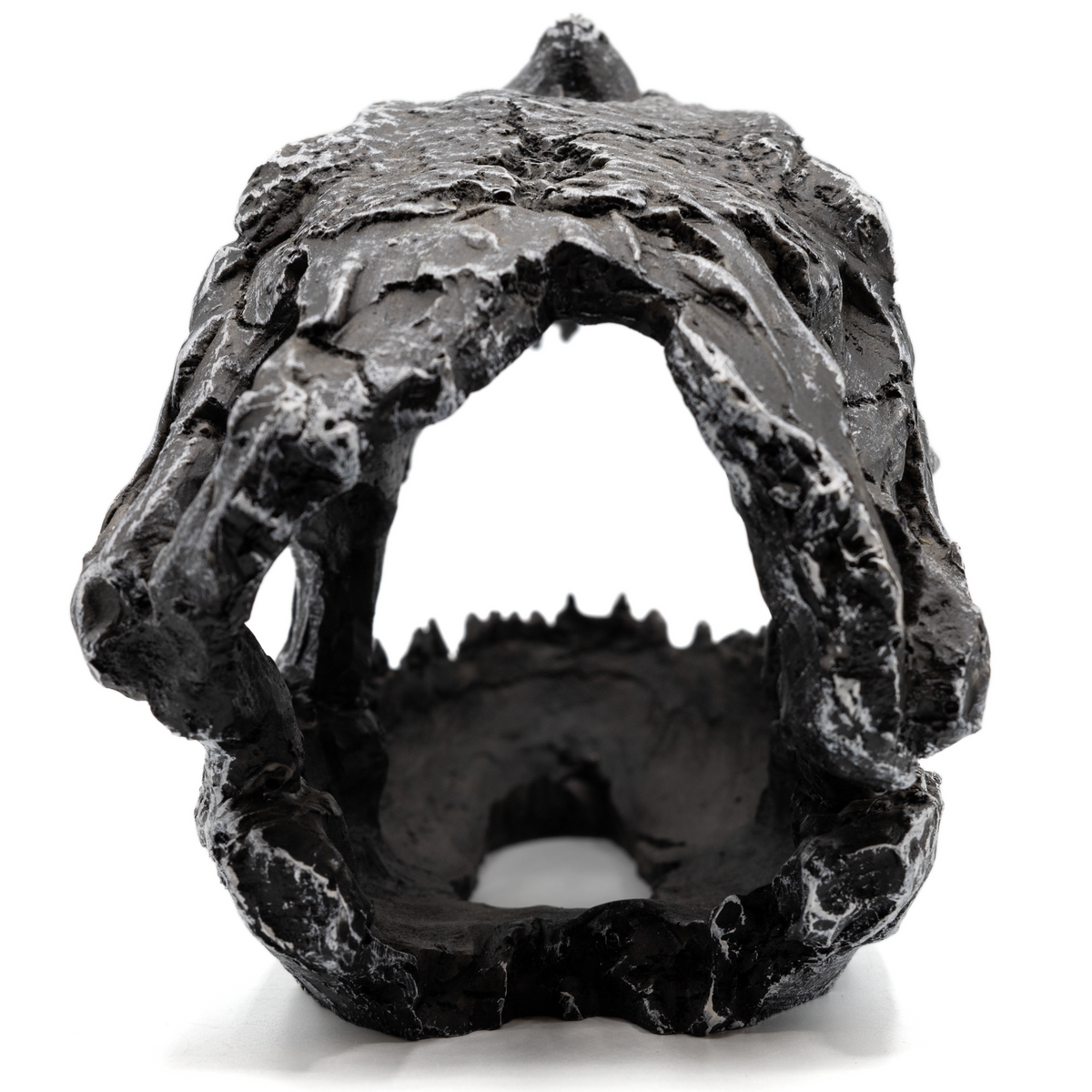 Dinosaur Skull | Reptile Hides & Decor | Pangea Reptile - Pangea ...