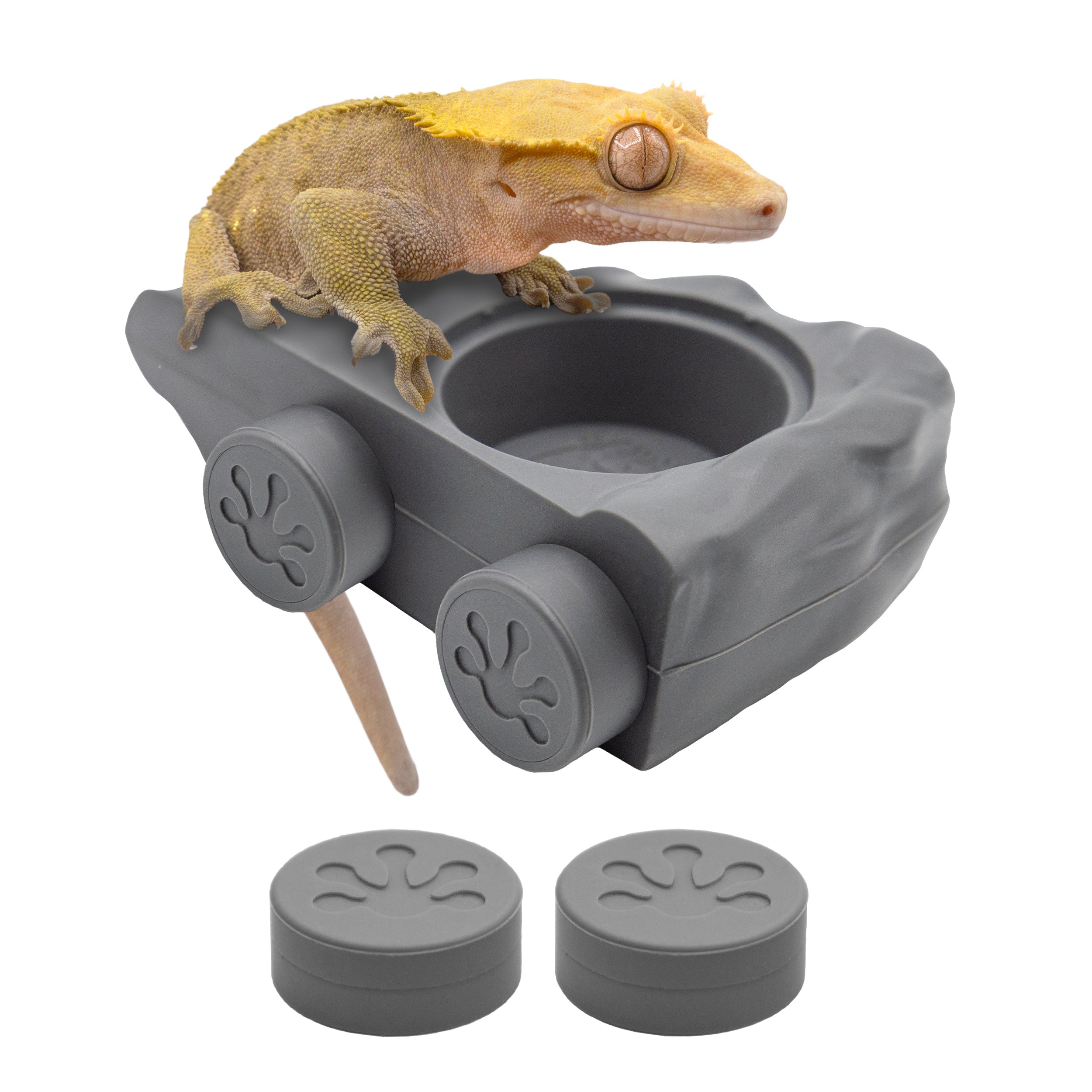Reptile Food Dish & Hamster Feeding Bowl - Magnetic Gecko Ledge ...