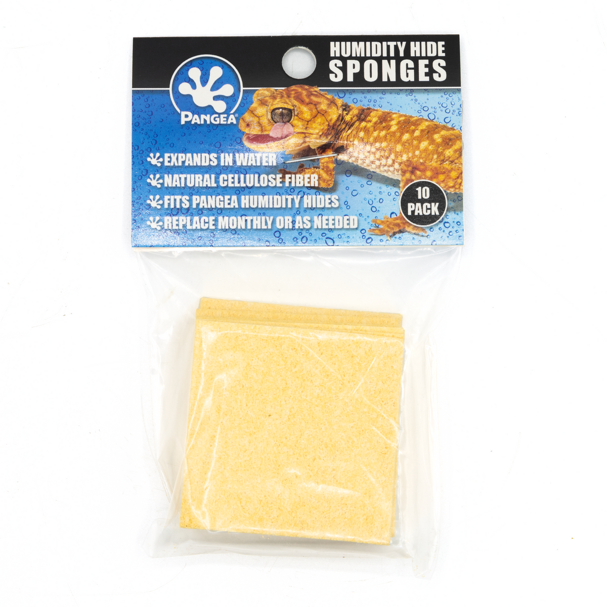 Humidity Hide Sponges | Pangea Reptile - Pangea Reptile LLC