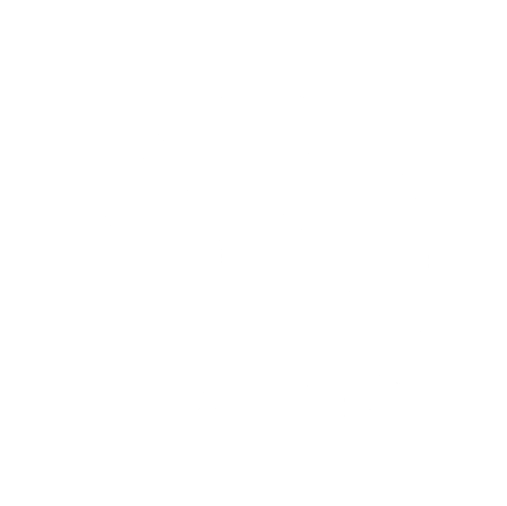 Crested Gecko Kit | Gecko Starter Kit | Pangea Reptile - Pangea Reptile LLC