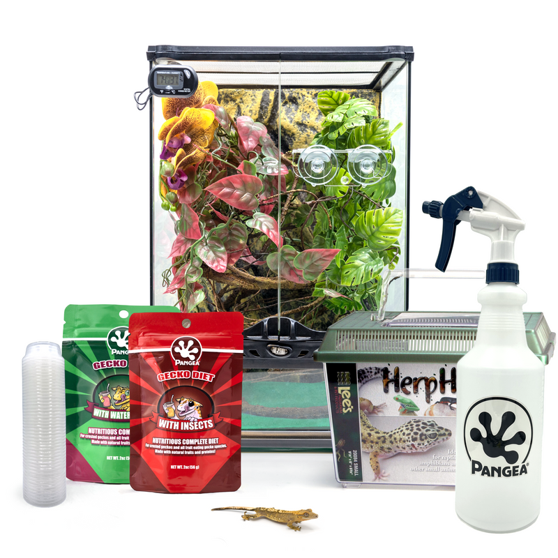 Crested Gecko Kit with Free Gecko | Gecko Starter Kit | Pangea Reptile ...