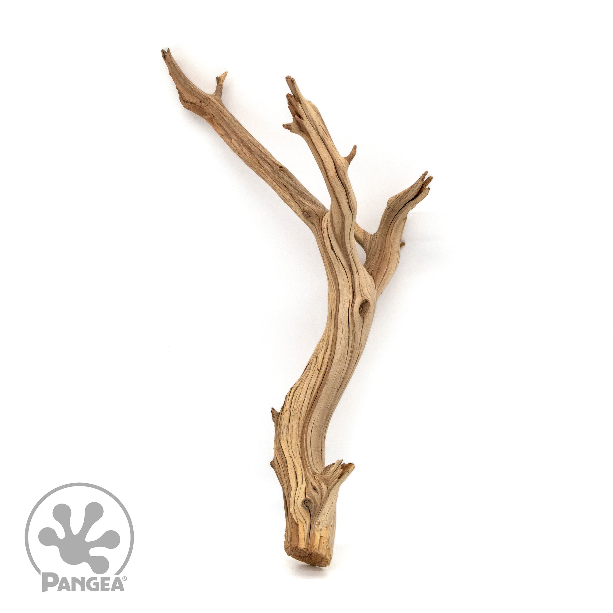 Pangea Ghost Wood | Wood & Branches | Pangea Reptile - Pangea Reptile LLC