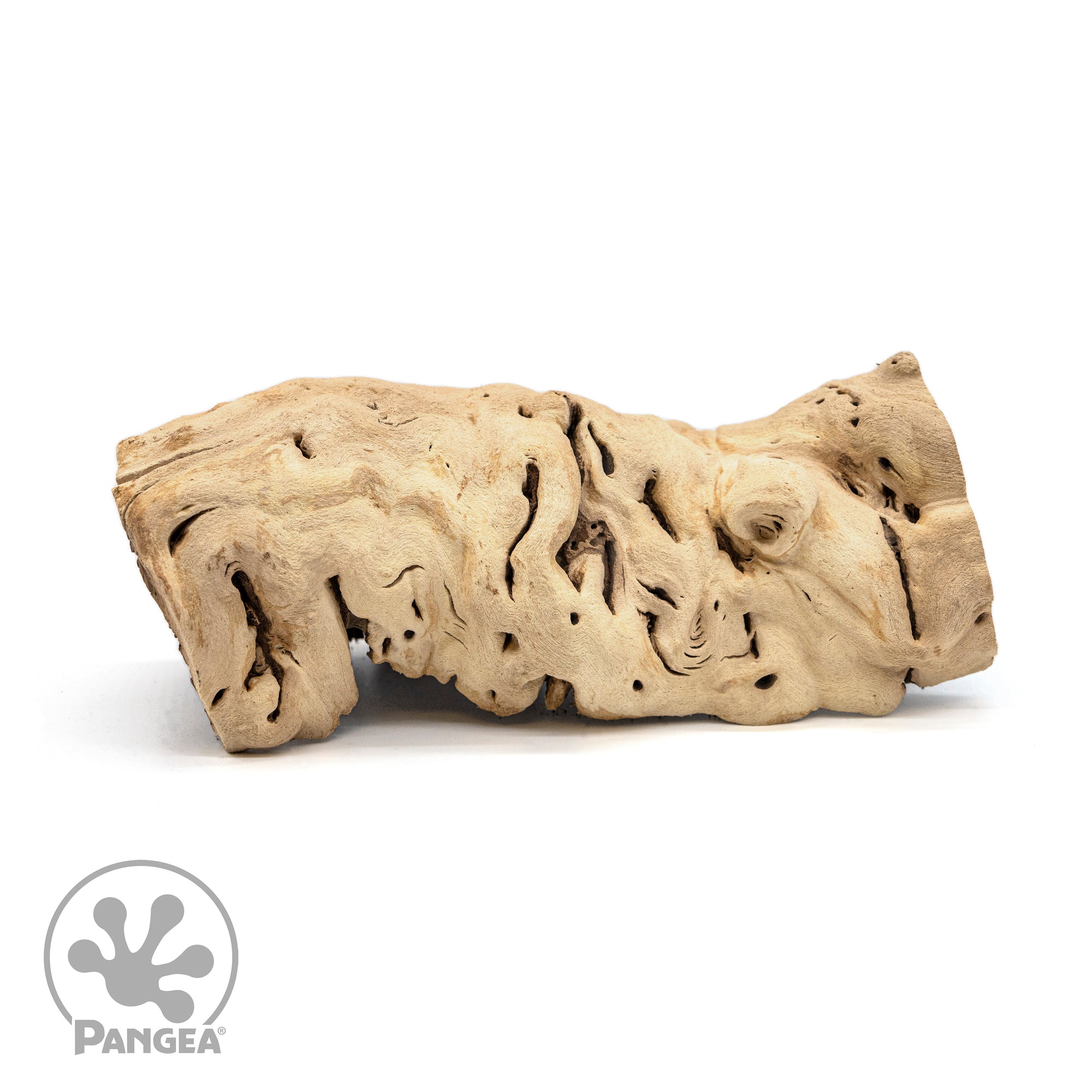 Pangea Grapevine Tunnels | Wood & Branches | Pangea Reptile - Pangea ...