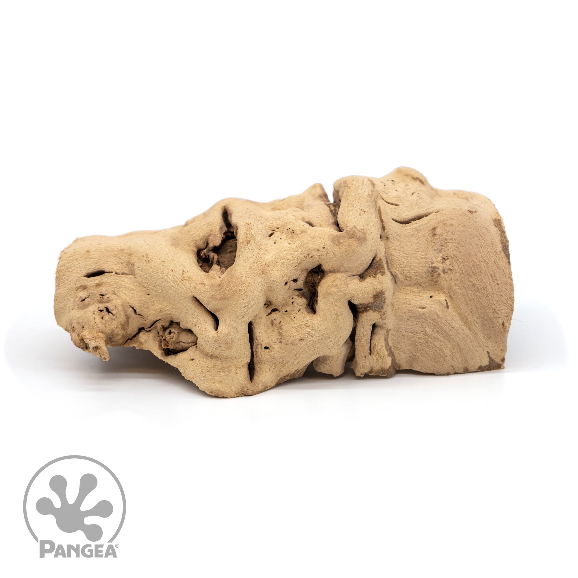 Pangea Grapevine Tunnels | Wood & Branches | Pangea Reptile - Pangea Reptile LLC