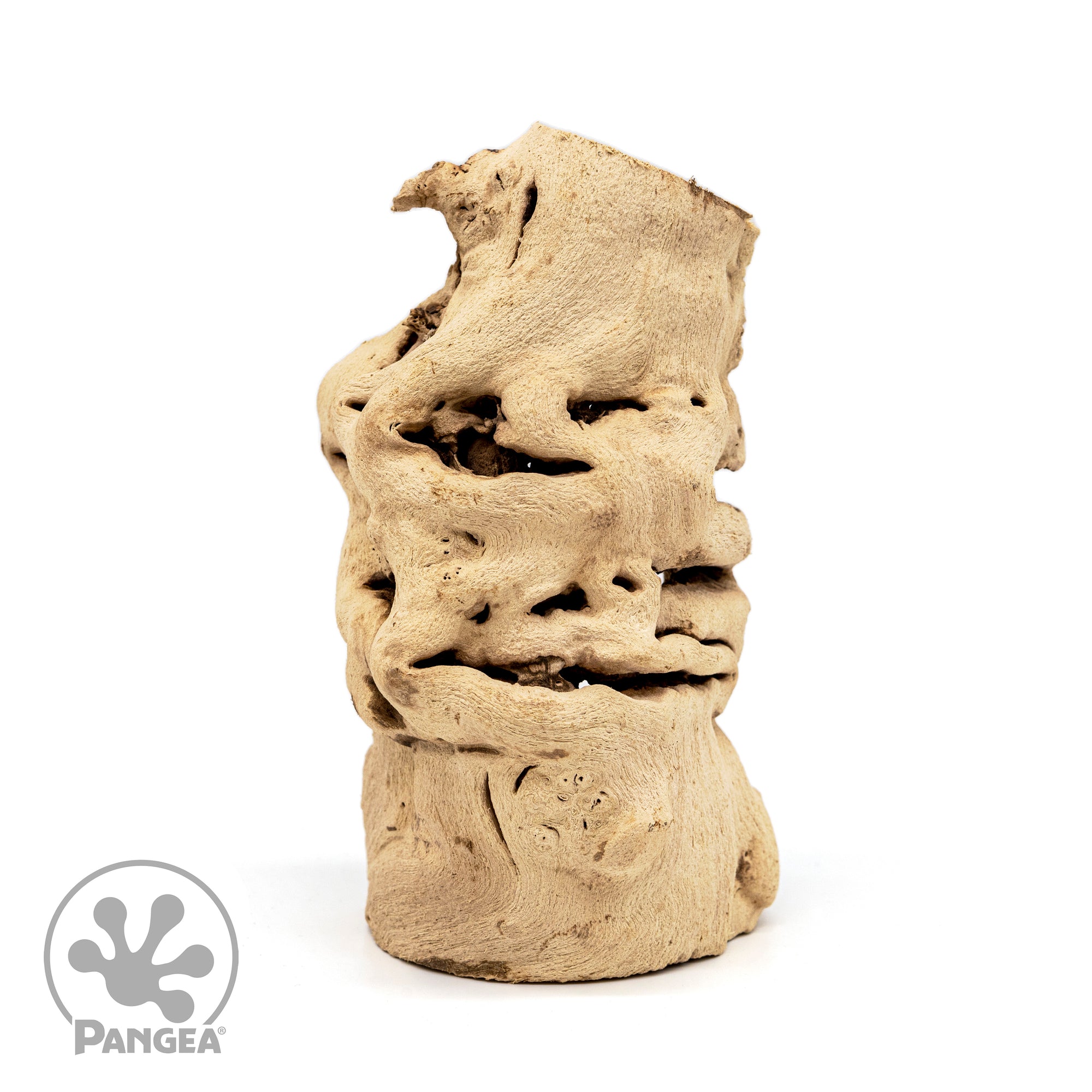 Pangea Grapevine Tunnels | Wood & Branches | Pangea Reptile - Pangea Reptile LLC