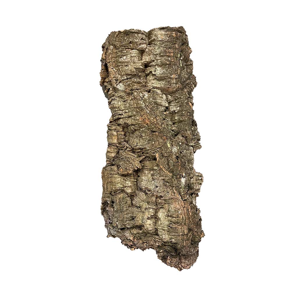 Cork Rounds | Cork Bark for Sale | Reptile Wood | Pangea - Pangea ...