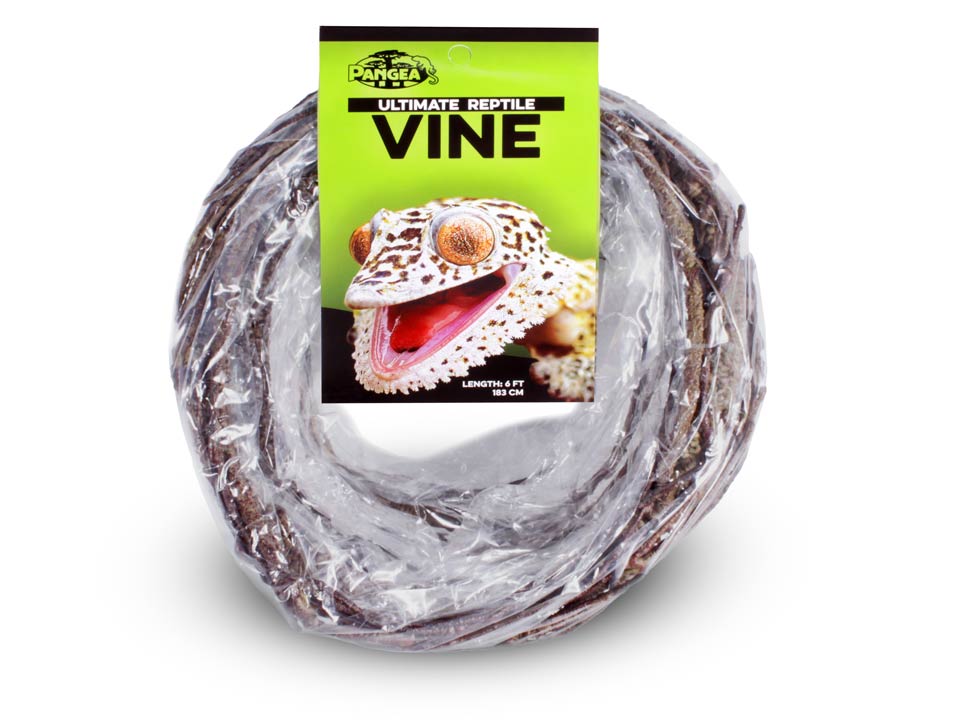 Pangea Ultimate Reptile Vine - Brown - Pangea Reptile LLC