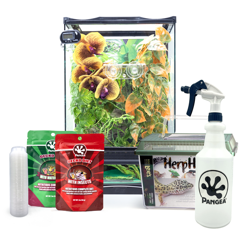Crested Gecko Kit | Gecko Starter Kit | Pangea Reptile - Pangea Reptile LLC